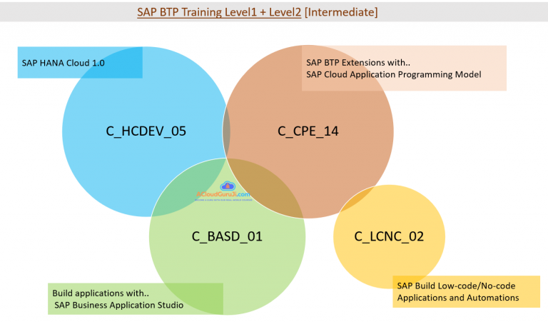 SAP BTP Hands-On for Architects and Developers (Level 1 + Level 2) – A ...