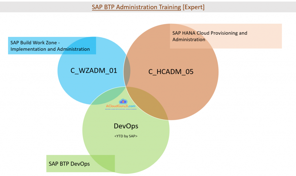 BTP Admin Advanced Course