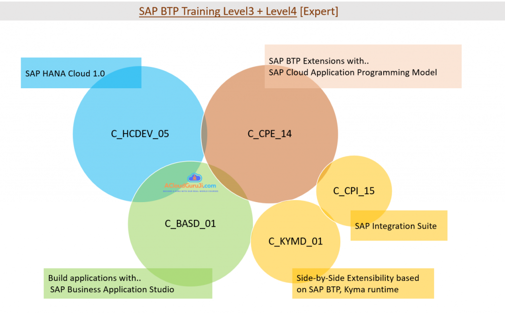SAP BTP Advanced (Level3, Level4)